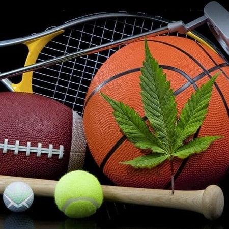 Hemp and sport. Discovering an unknown combination. | Canapuglia