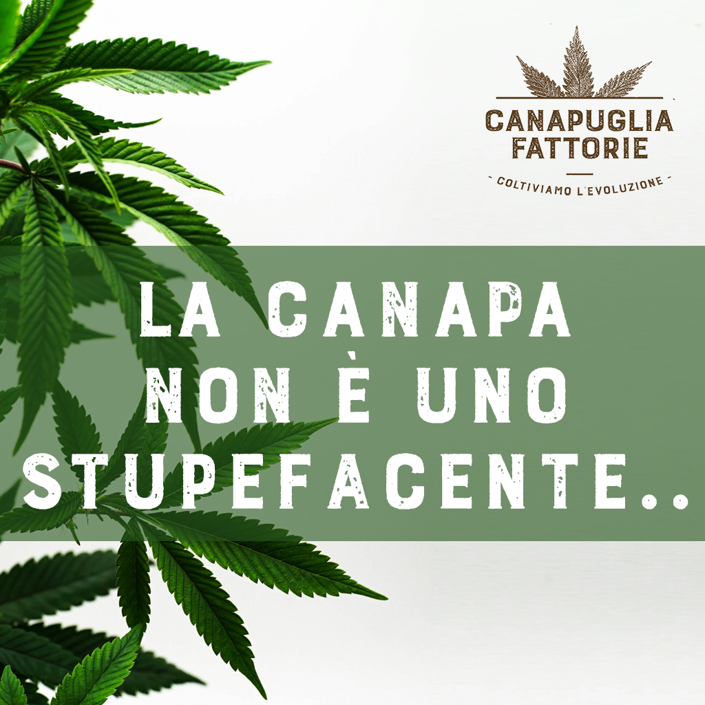 Il TAR del Lazio sospende il decreto sul CBD | Canapuglia