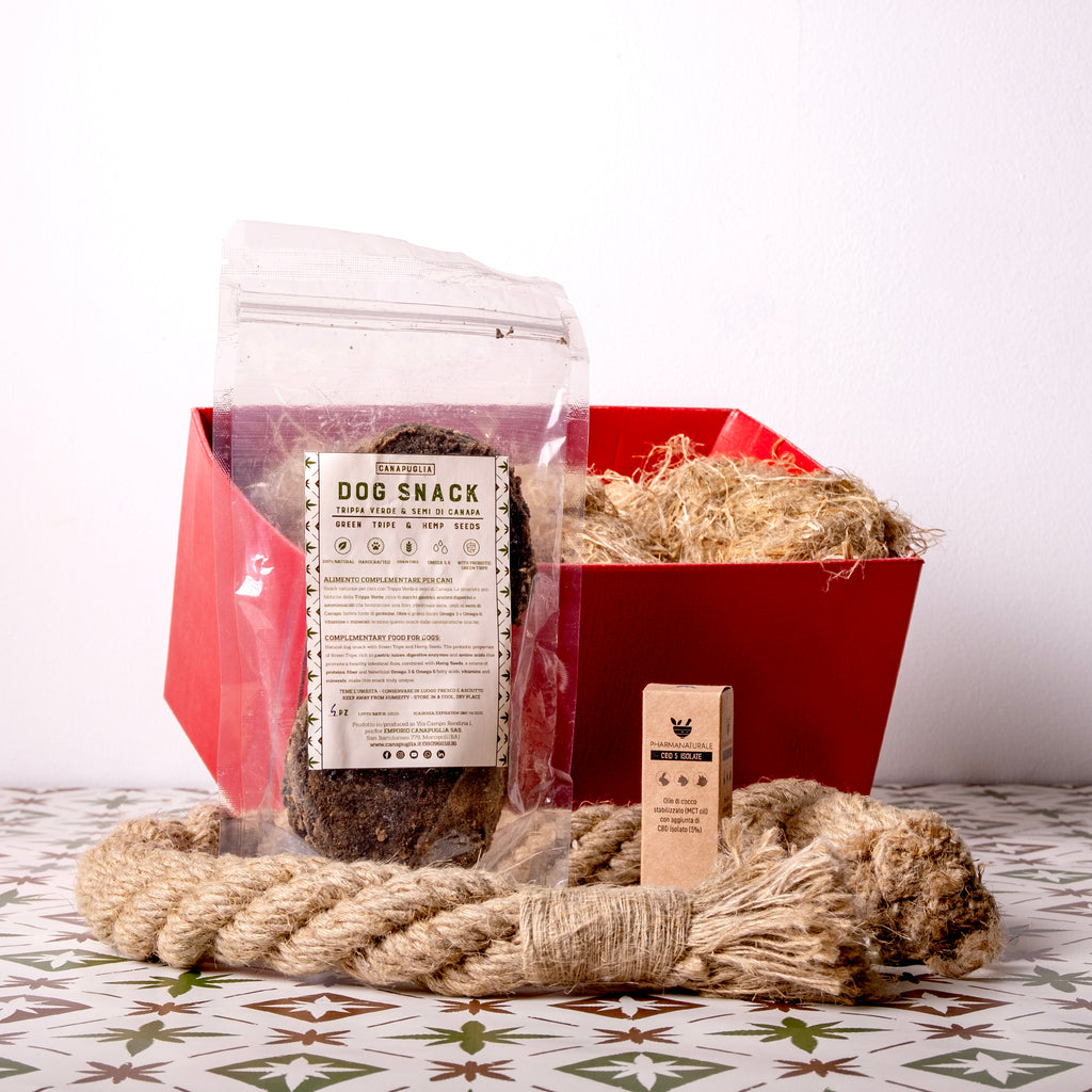 Hemp Pet Kit - Natural Wellness for Your Four-Legged Friend | Canapuglia