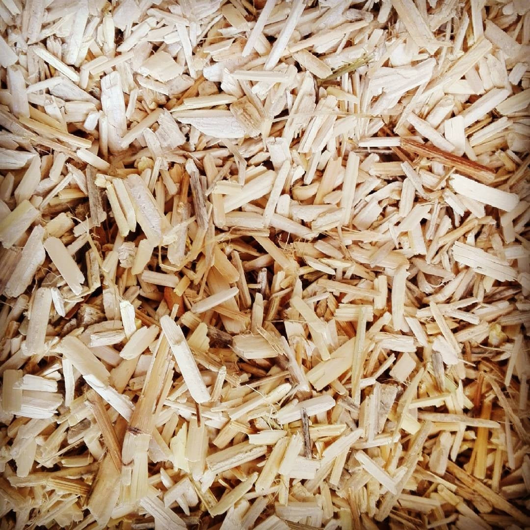 Hemp Shives | Canapuglia