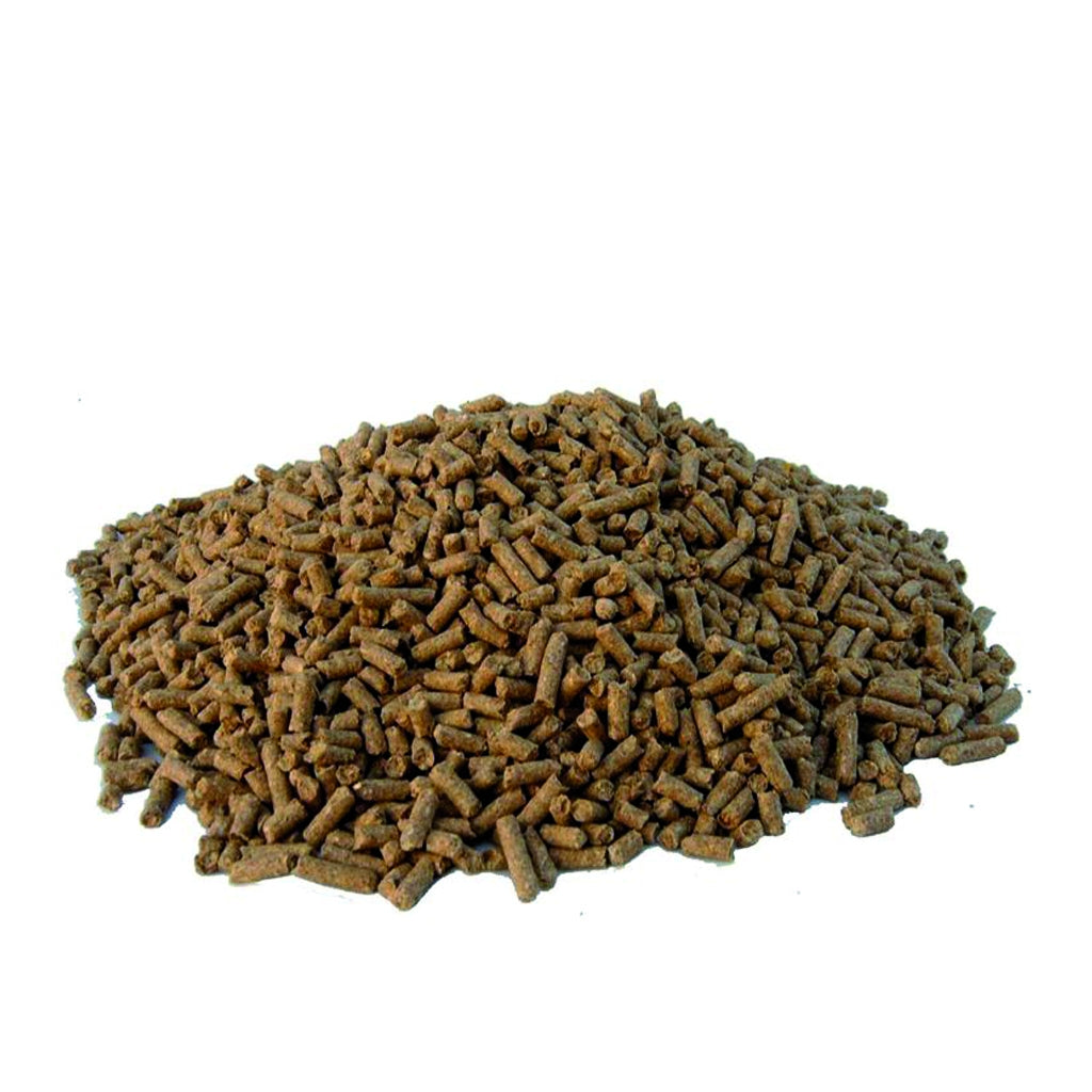 simple hemp feed for horses | Canapuglia
